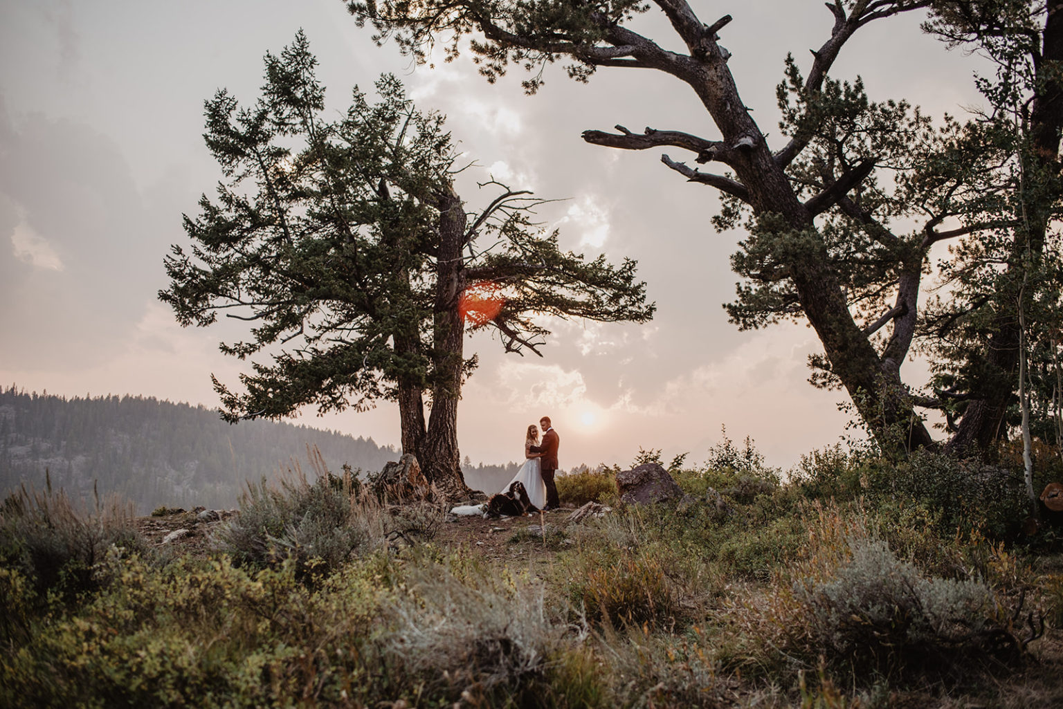 Jackson Hole's Wedding Tree Ceremony - jocilynbennett.com