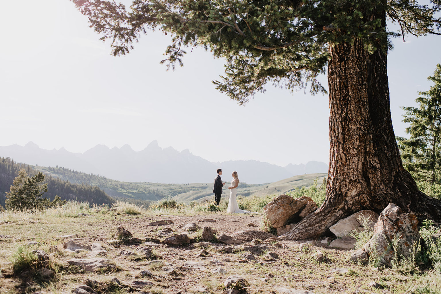 Wedding Tree Jackson Hole - jocilynbennett.com